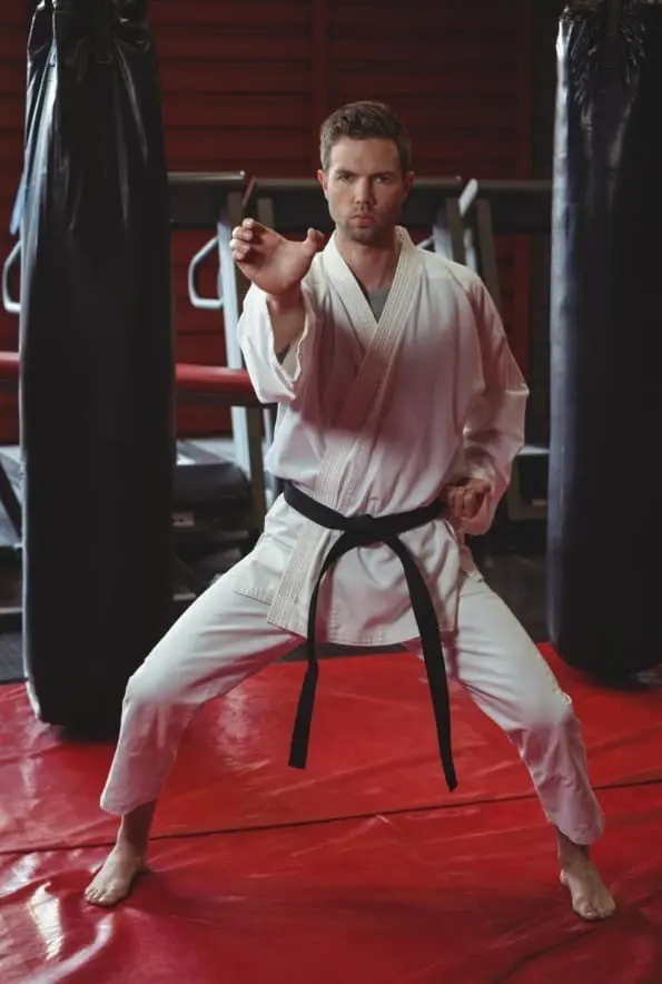 Understanding Martial Arts Progression